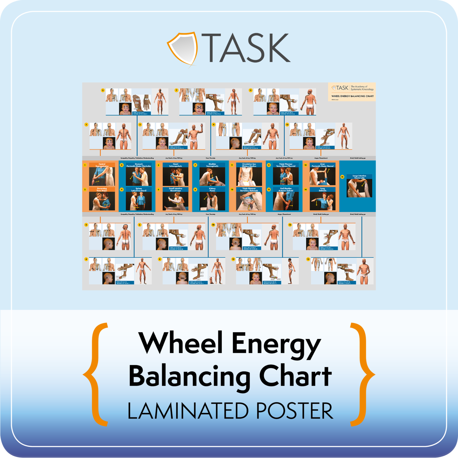 Wheel Energy Balancing Chart Poster – The Academy of Systematic Kinesiology